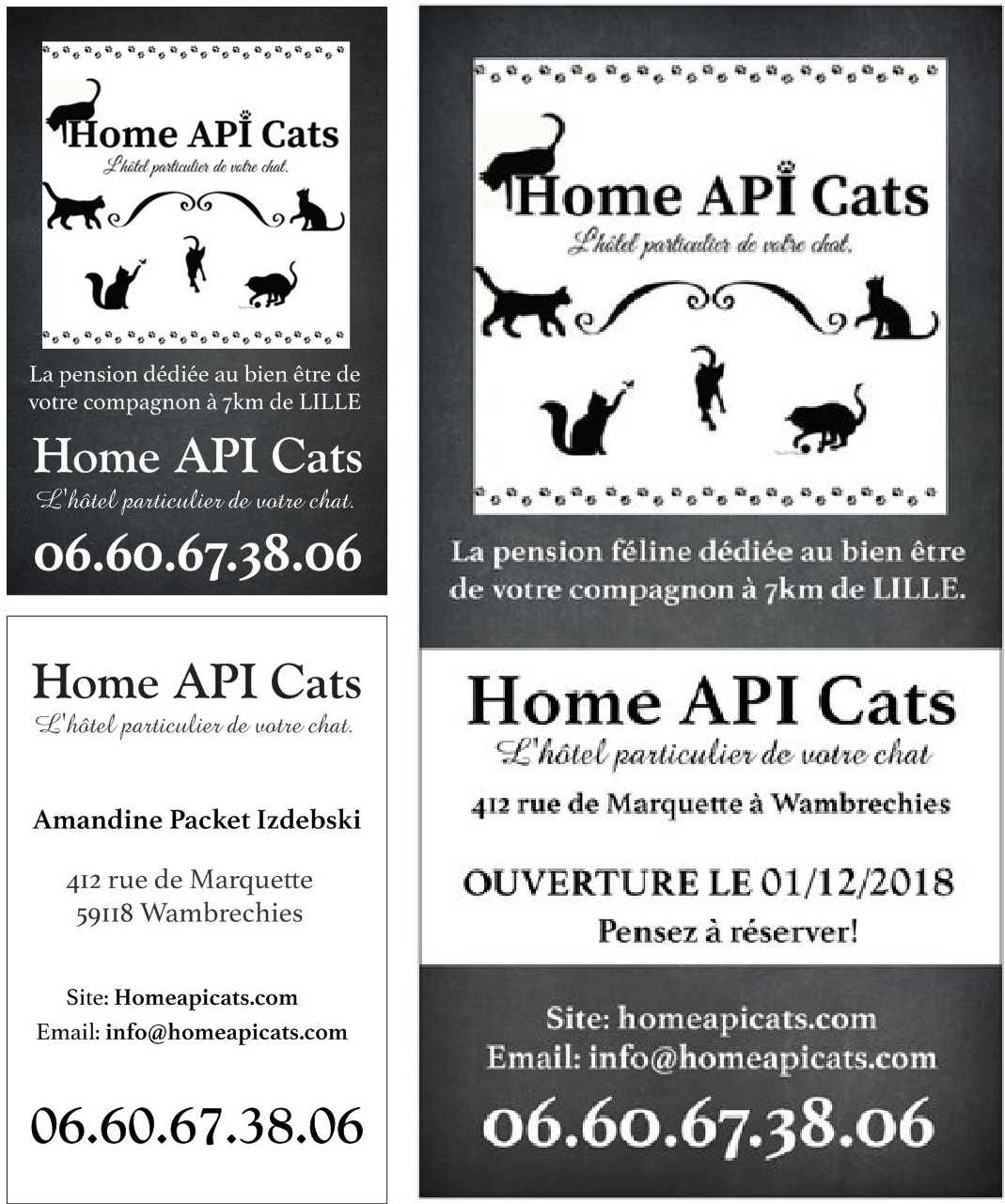 Hôtel et Pension pour Chat à Lille - Home API Cats